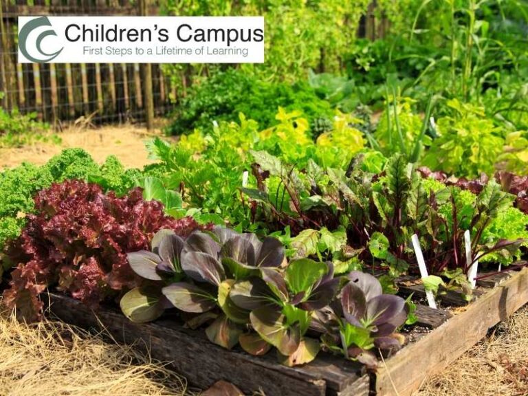 Benefits of Children's Campus of Greenville On-site Vegetable Garden